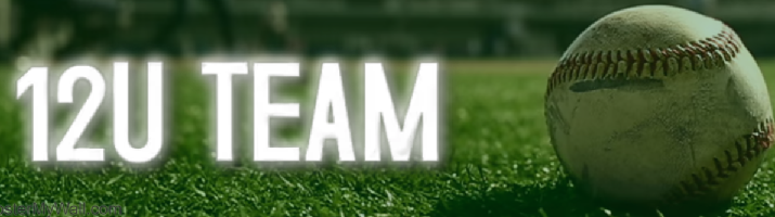 12U Team | AMERICAN MADE BASEBALL