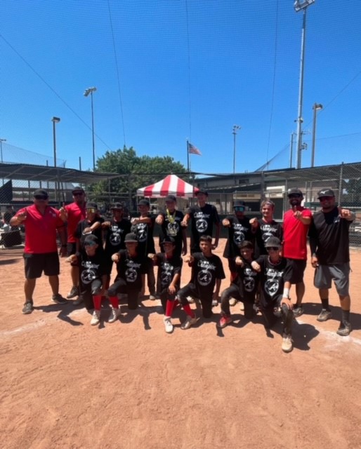 AMERICAN MADE BASEBALL | A champion is someone who gets up when they ...