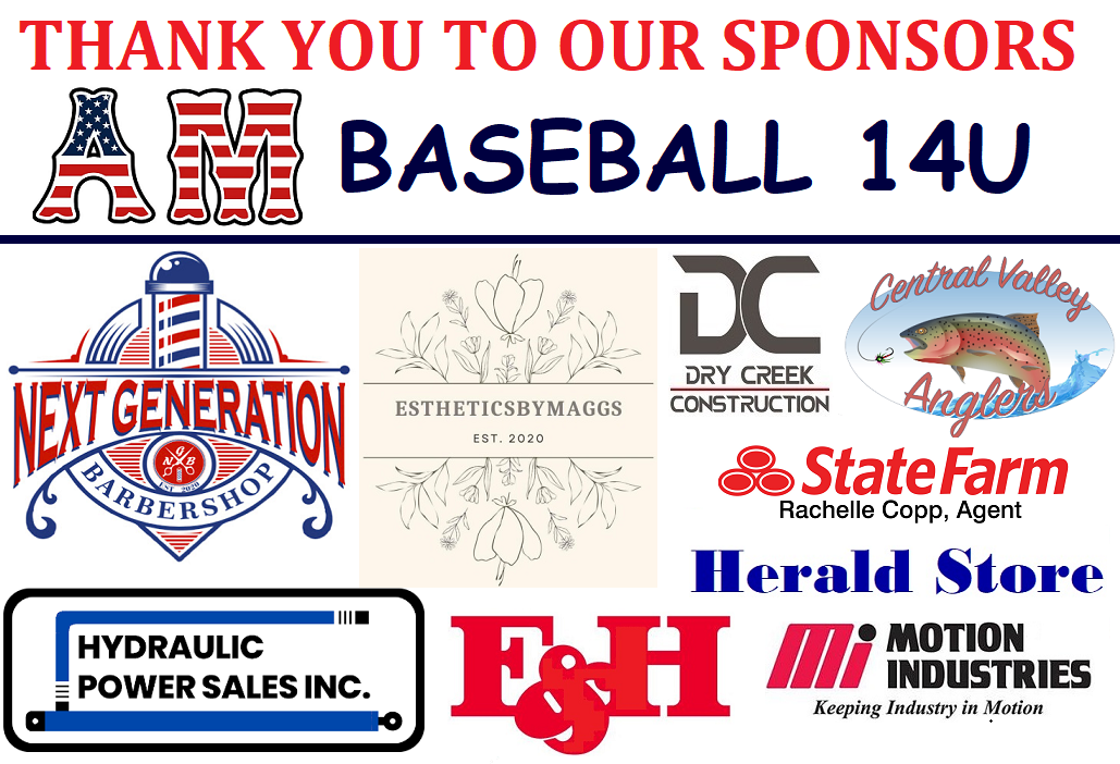 15U Team | AMERICAN MADE BASEBALL