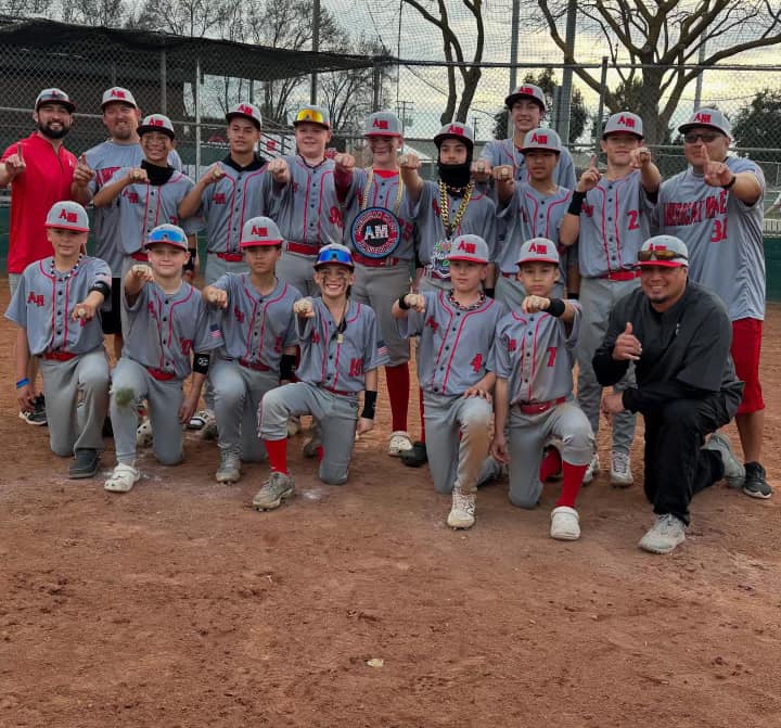 14U Team | AMERICAN MADE BASEBALL